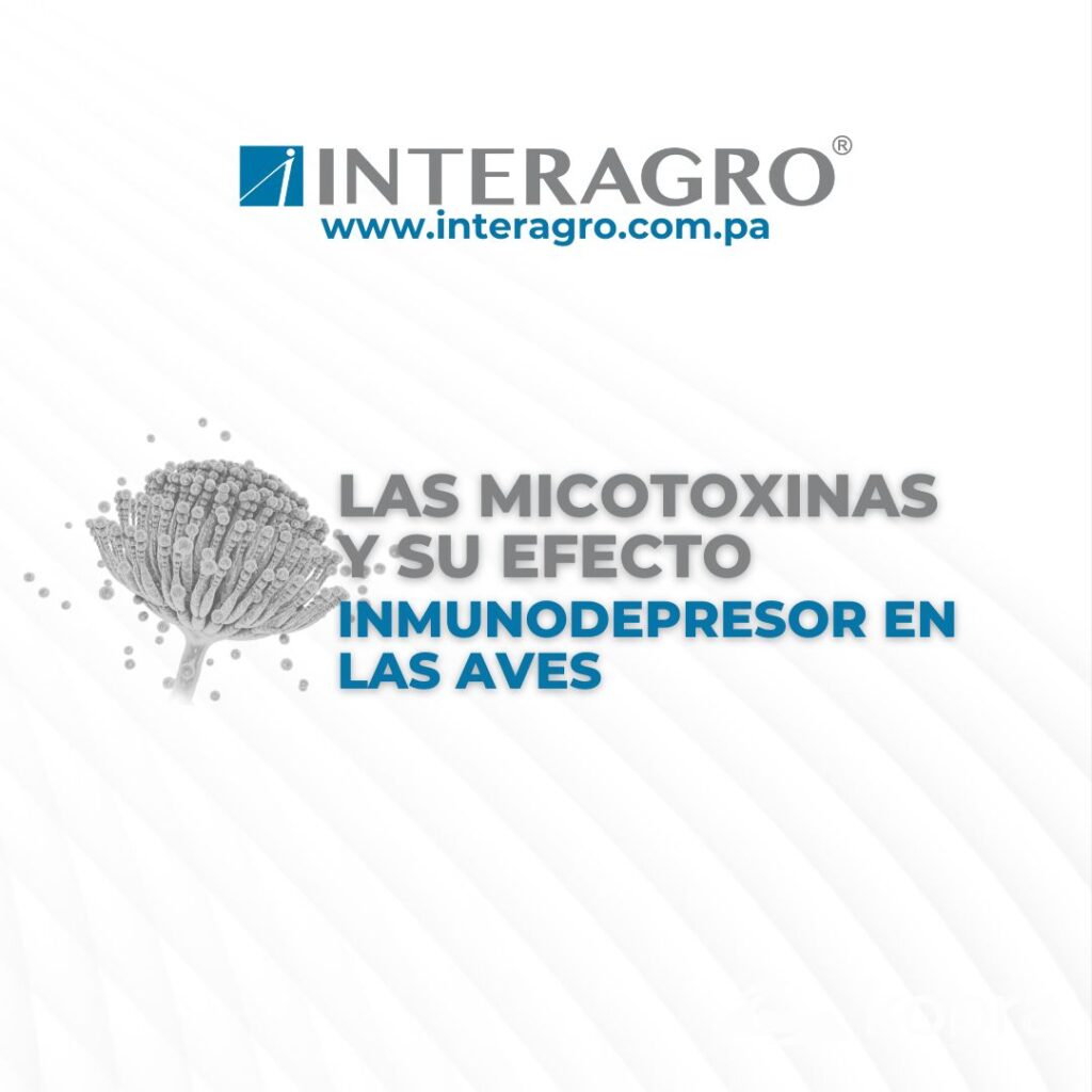 Inicio - Interagro, S.A.